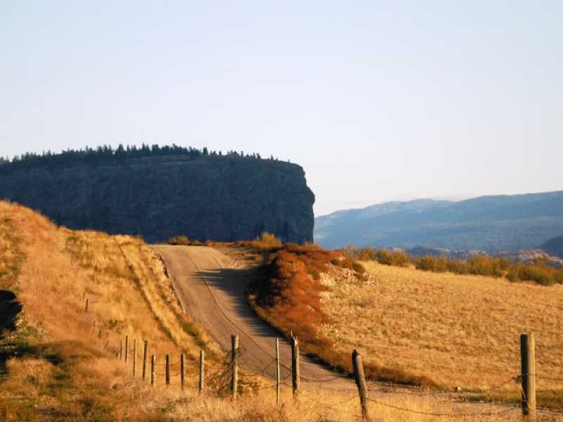 Mcintyre Bluff Nature Photography By Glenda Ross 11