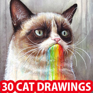 30 Beautiful Cat Drawings - Best Color Pencil Drawings and Paintings ...
