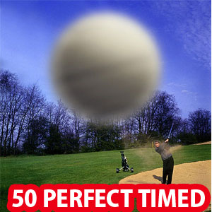 50 Best Perfectly Timed Photos around the world for your inspiration