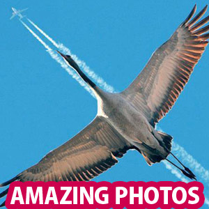 60 Most Amazing Photography examples around the world - Amazing Photos
