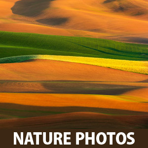 25 Stunning Nature Photography examples from famous photographers ...