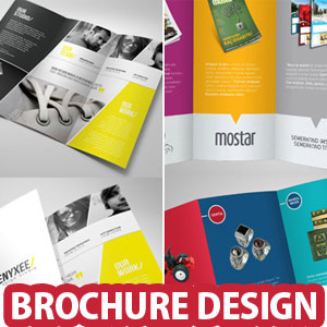 25 Best Brochure Design examples and Ideas for your inspiration