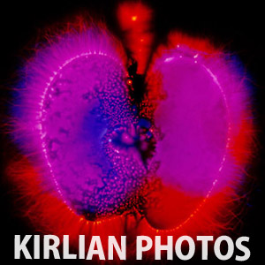 20 Best Kirlian photography examples and techniques for beginners