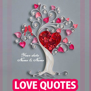 30 Romantic Valentine Day Love Quotes - Perfect Way to Start New ...