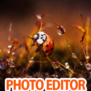 Exhance Your Images with Advanced Photo Editor - Exposure X2