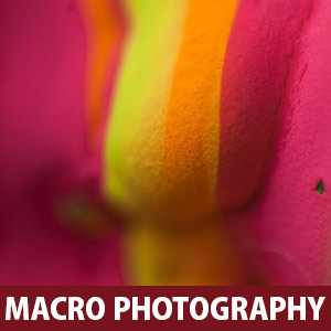 Colorful Abstract Macro Photography ideas By Alberto Seveso