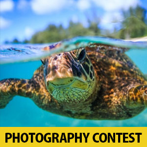 Army Digital Photography Contest invites entries by 31 Jan 2018