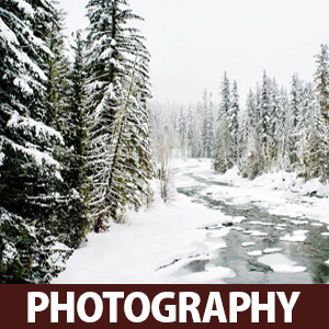 Washington winter Photography Contest - 15 Feb 2018