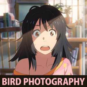 Your name a Japanese animation movie is a big hit in China - Trailer ...