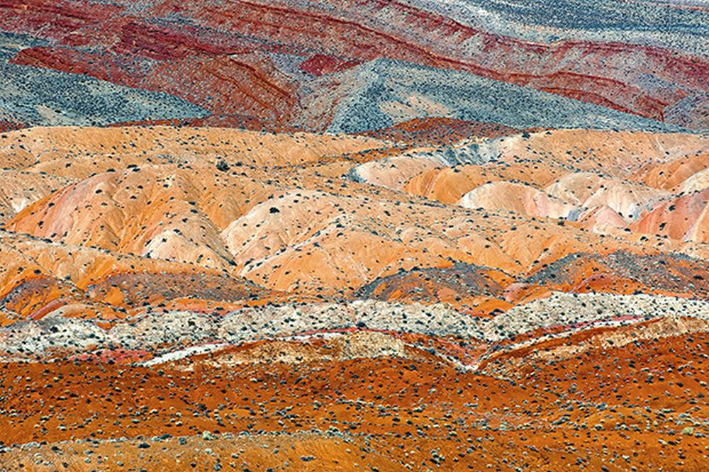 3 feature shoot award winning photo by zoe | Image